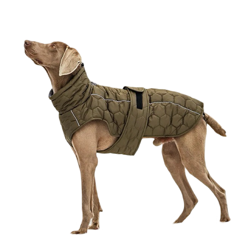 Luxury Dog Clothes & Accessories | Barkin’ Hound