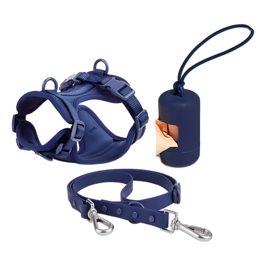 Luxury Dog Clothes & Accessories: Premium Finds for Your Furry Friends ...